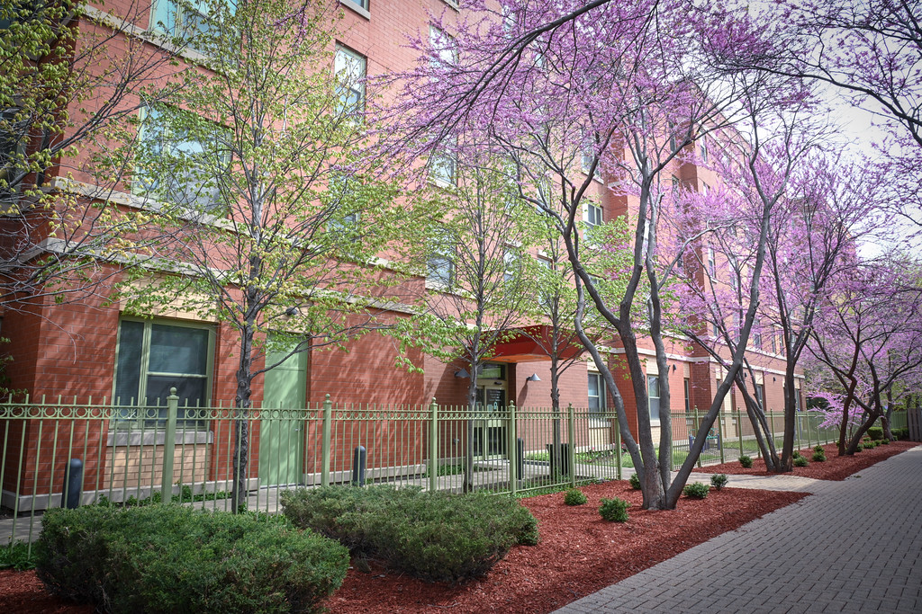 Casa Maravilla • Alivio Medical Center